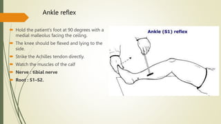 caps, 7, day 5.pptx. . | PPT