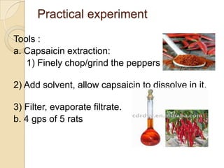 Capsain search | PPT | Free Download