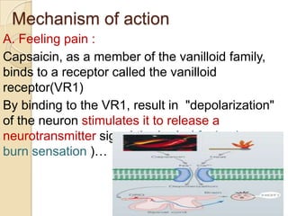 Capsain search | PPT | Free Download