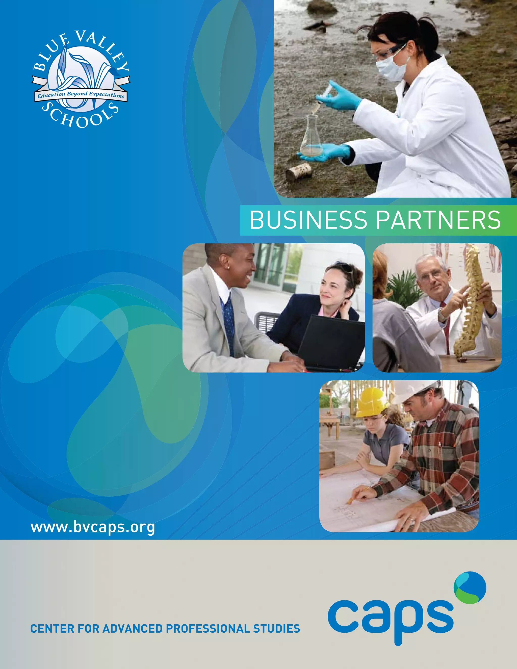 CAPS Business Partners - March 2011 | PDF