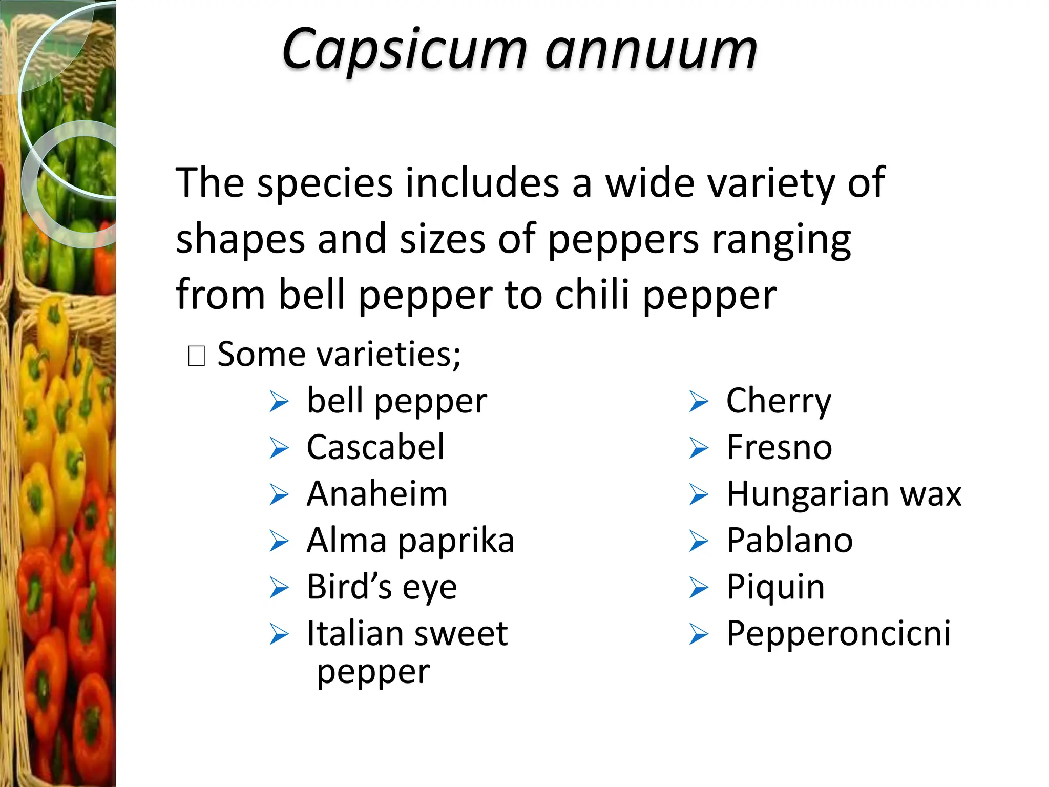 capsicum-1407260245454674140-phpapp01.pdf