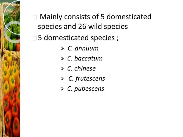 Capsicum ( Capsicum annuum L. ) | PPTX | Gardening | Home & Garden