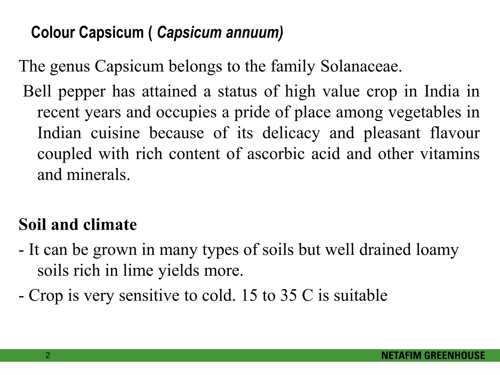 Capsicum - Greenhouse production | PPTX