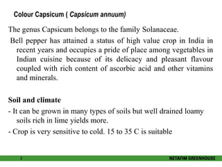 Capsicum - Greenhouse production | PPTX