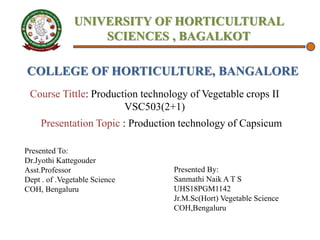Capsicum Varietal Wealth | PPTX