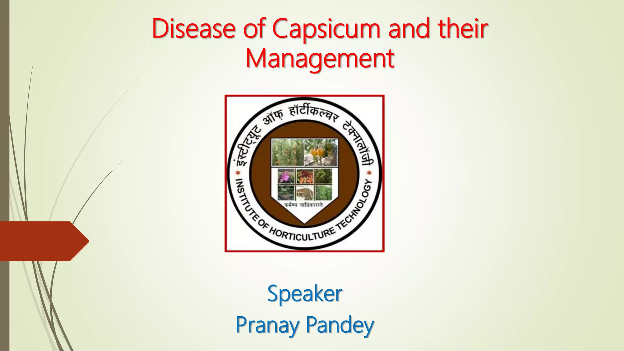 Capsicum disease and their management | PPTX