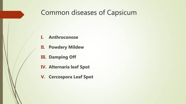 Capsicum disease and their management | PPTX