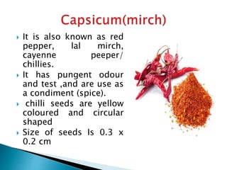 Capsicum poisoning by Mr. Sunil Ahirwar (Forensic Expert) | PPTX
