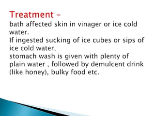 Capsicum poisoning by Mr. Sunil Ahirwar (Forensic Expert) | PPTX