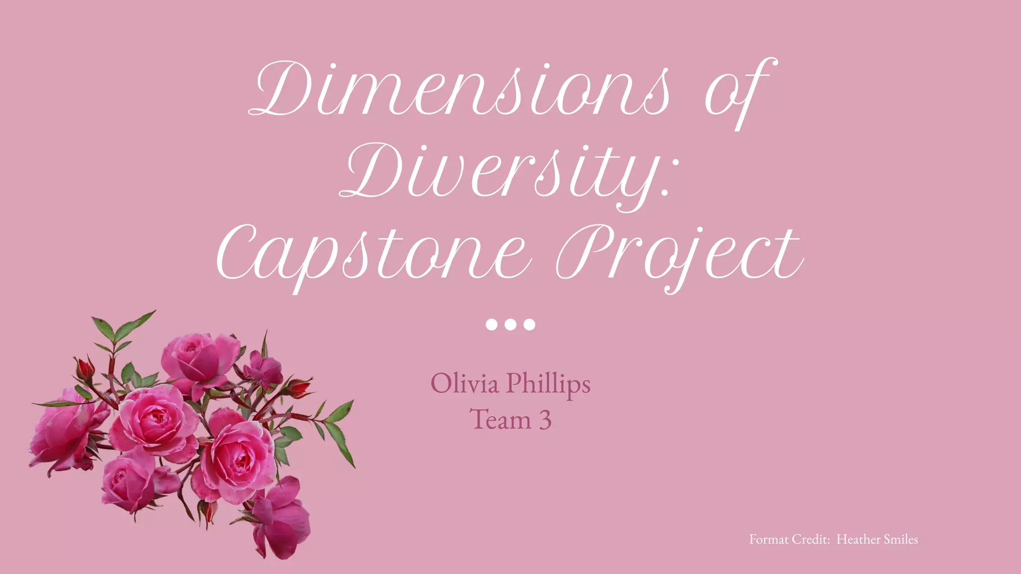 Olivia Phillips Dimensions of Diversity Capstone | PPT