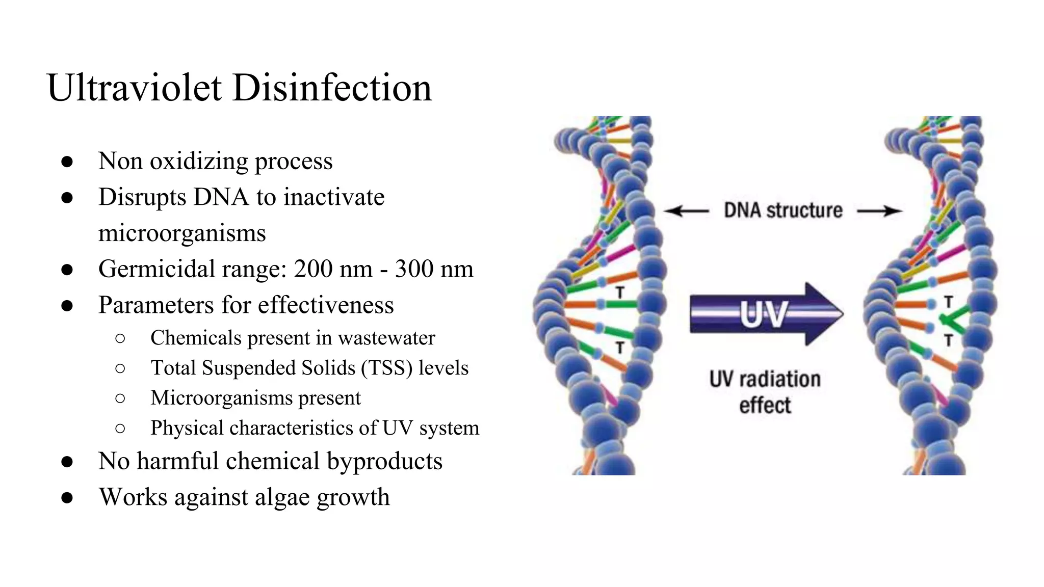 Engineering Design of a Wastewater UV Disinfection System | PPTX