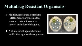 Capstone project multidrug resistant microorganisms | PPTX