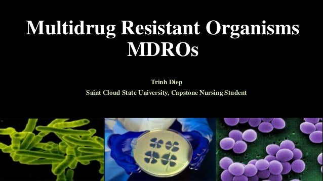 Capstone project multidrug resistant microorganisms