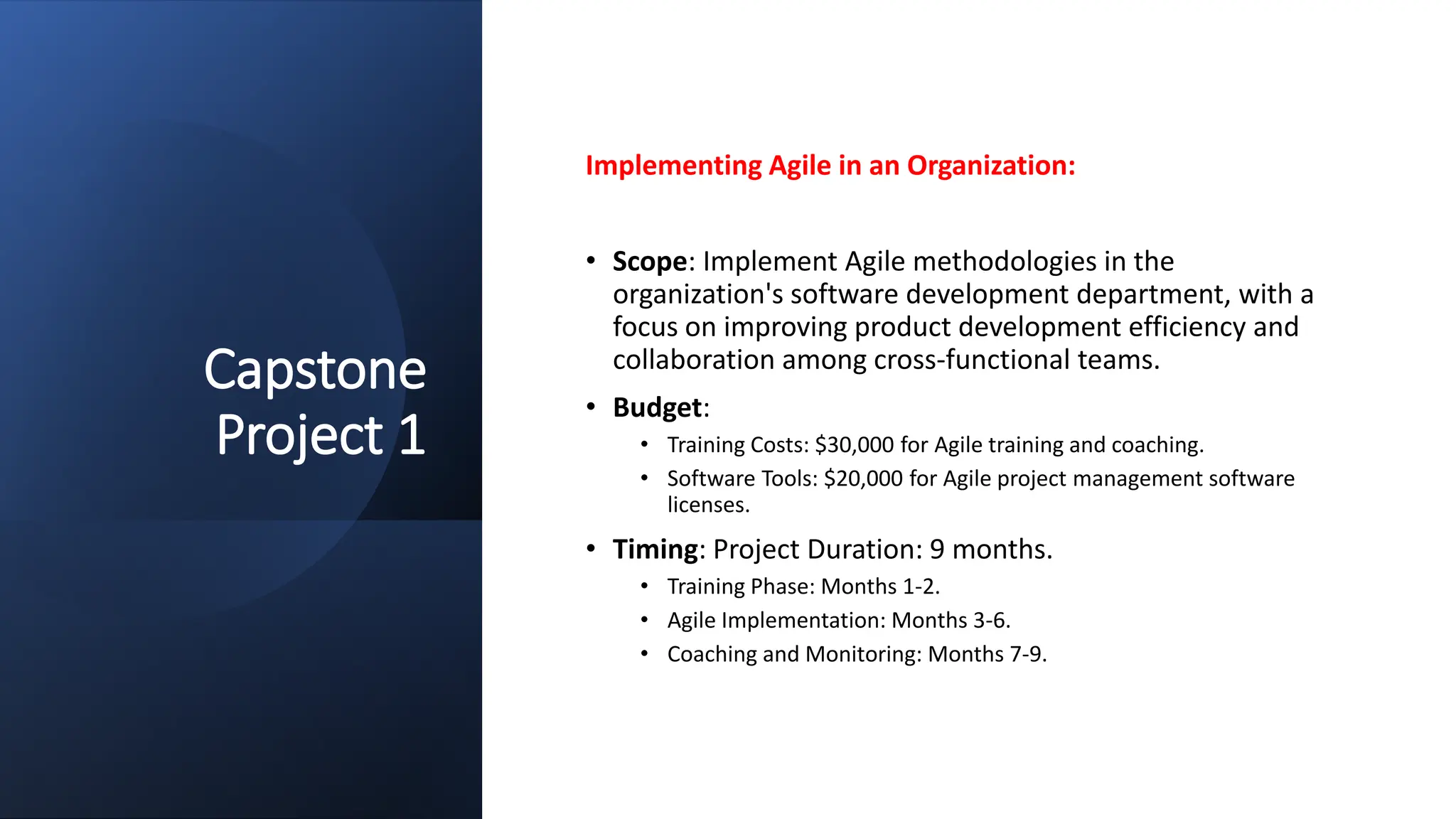 Capstone Project 2024.pdf project manafen | PDF