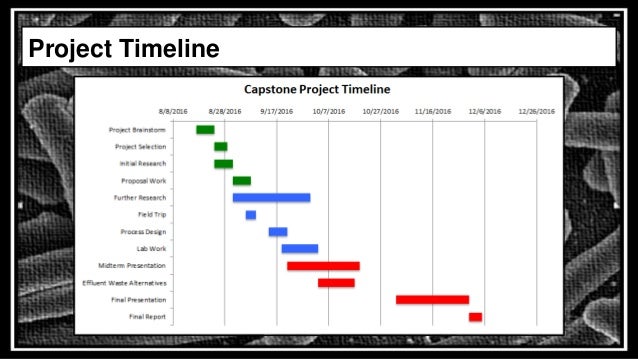 Capstone project final presentation