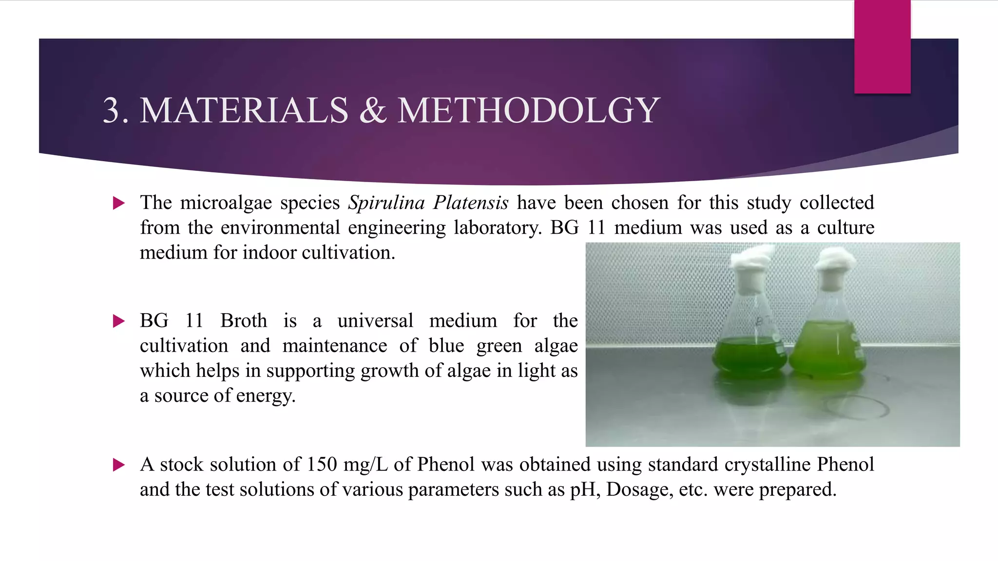 Adsorption of Phenol from Aqueous Solution using Algal Biochar | PPTX | Chemistry | Science