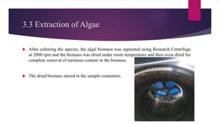 Adsorption of Phenol from Aqueous Solution using Algal Biochar | PPTX ...