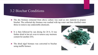 Adsorption of Phenol from Aqueous Solution using Algal Biochar | PPTX