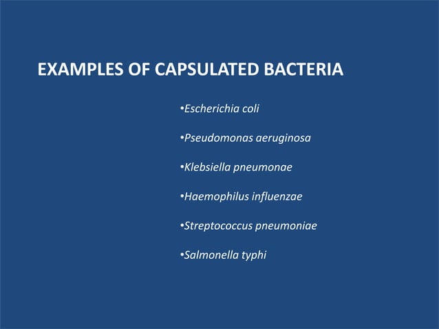 Capsular Staining - 1 | PPTX | Chemistry | Science