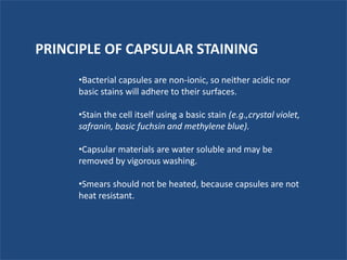Capsular Staining - 1 | PPTX