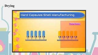 Manufacturing of hard gelatin Capsule.pptx