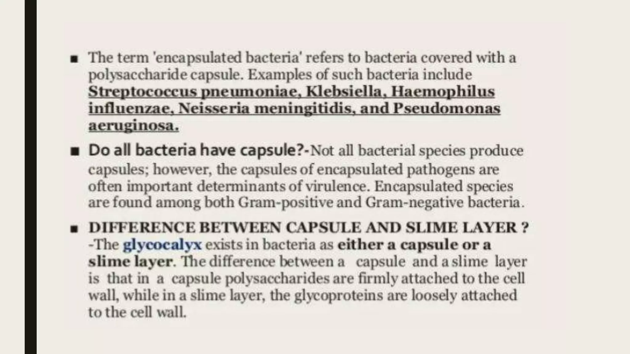BACTERIAL CAPSULE.pptx