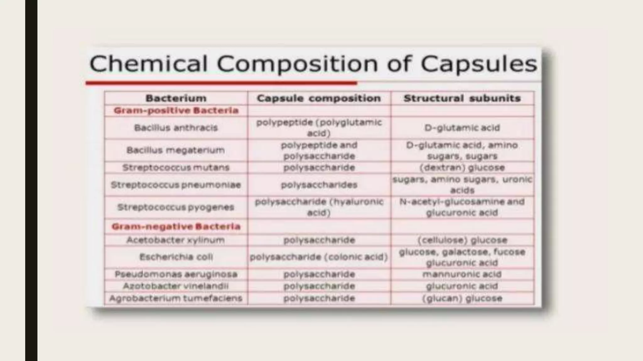 BACTERIAL CAPSULE.pptx