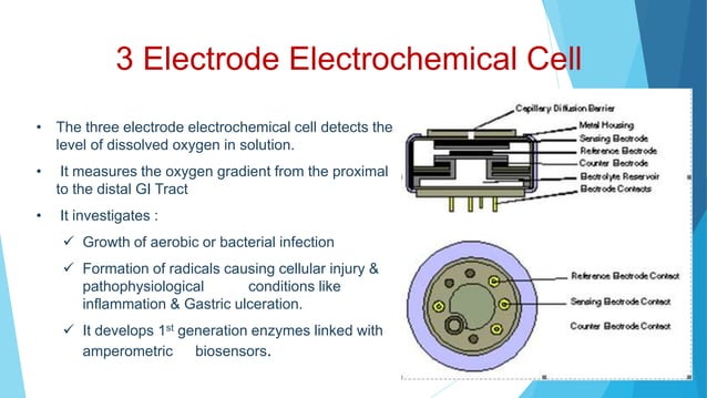 Micro Electronic capsule | PPT