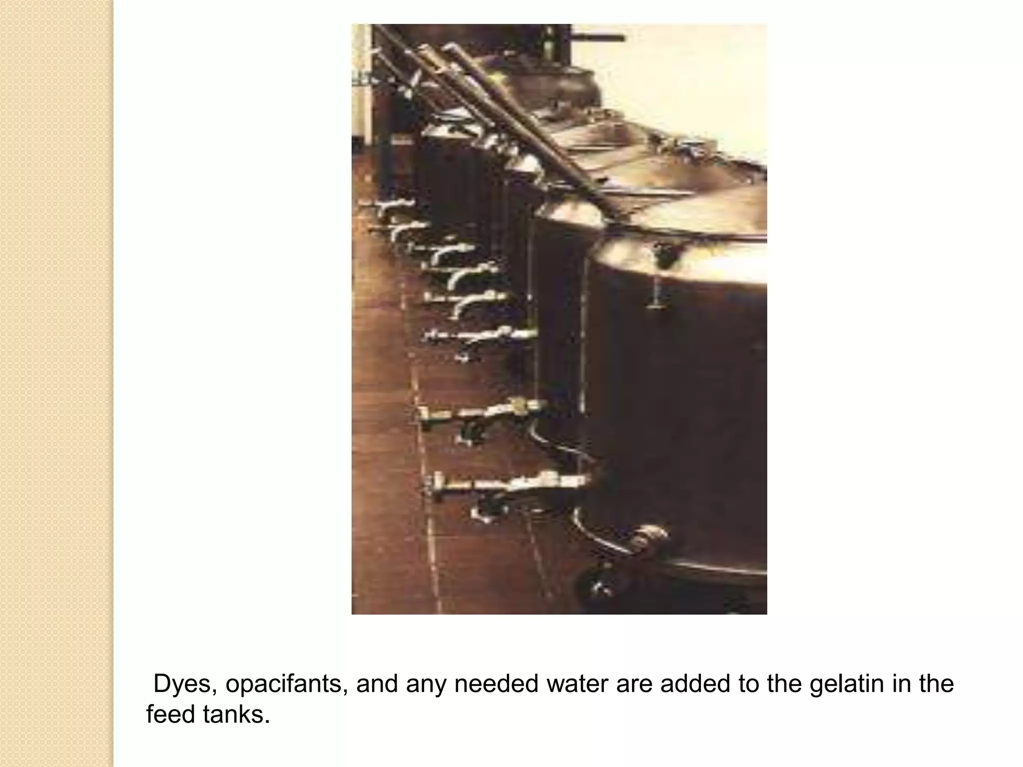 Capsule Manufacturing Process | PPTX