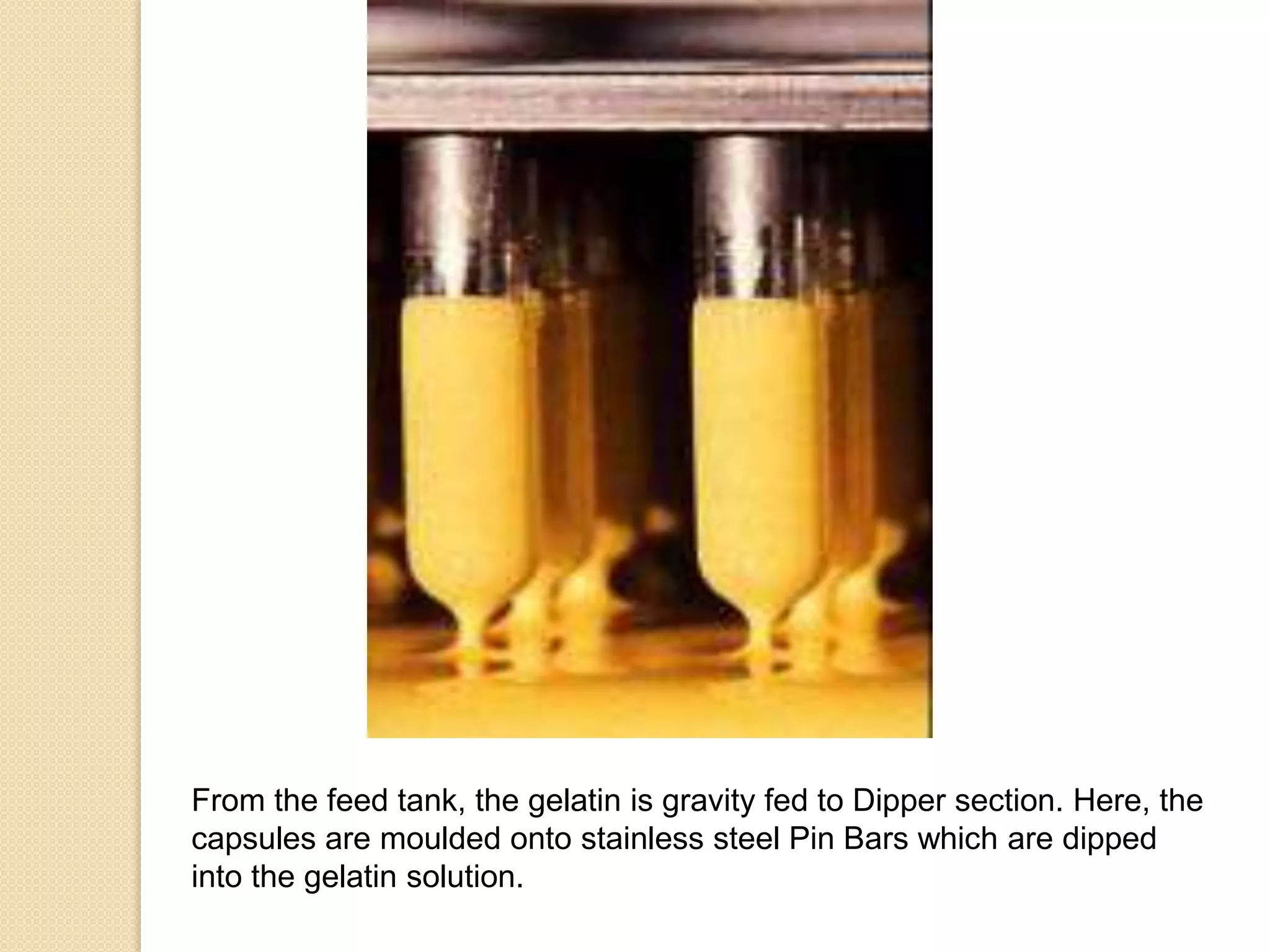 Capsule Manufacturing Process | PPTX
