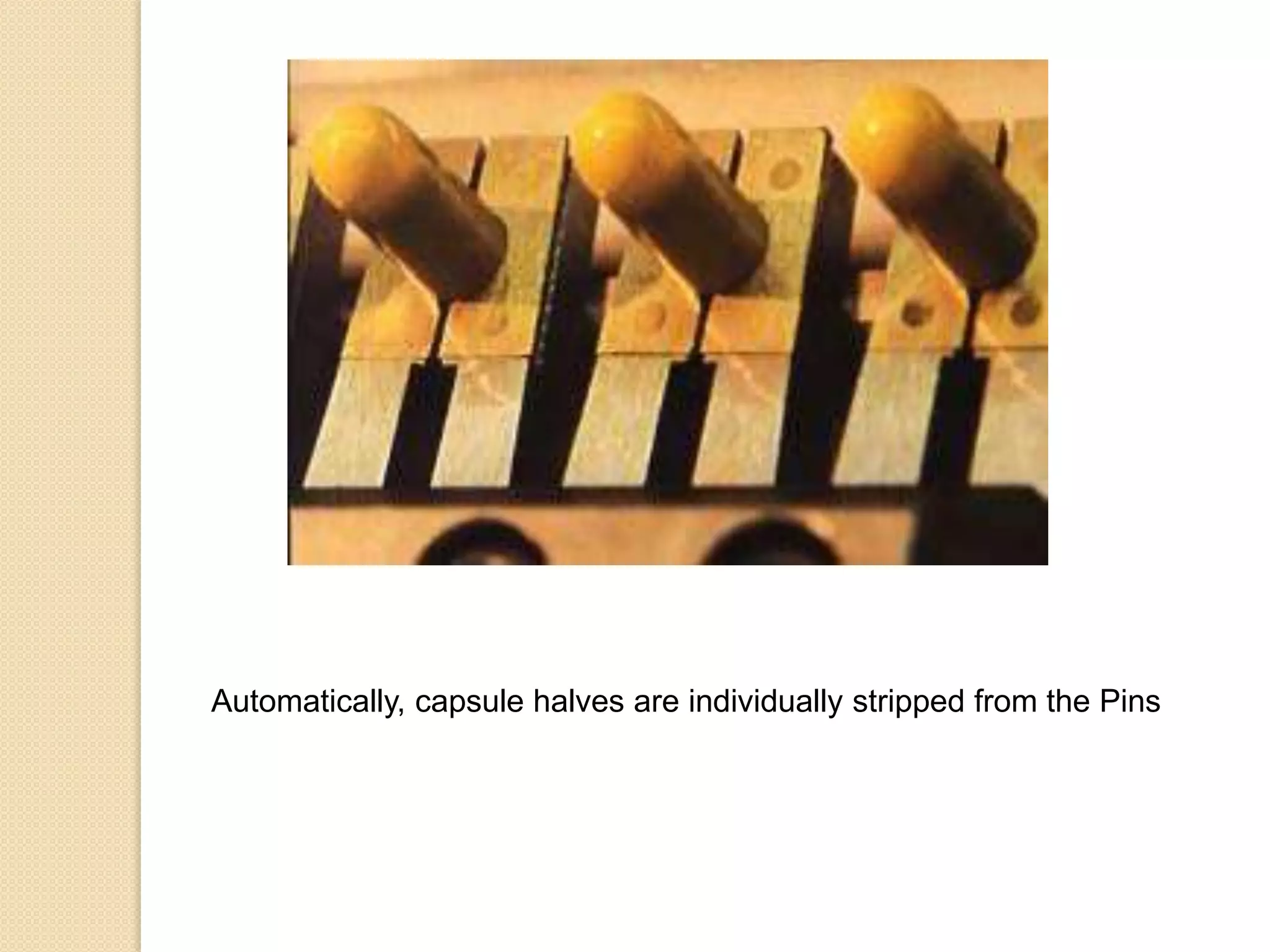 Capsule Manufacturing Process | PPTX