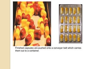 Capsule Manufacturing Process | PPTX