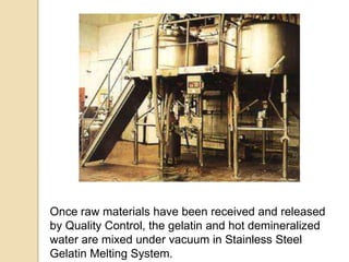 Capsule Manufacturing Process | PPTX