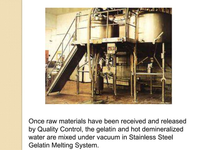 Capsule Manufacturing Process | PPTX | Business | Business and Finance