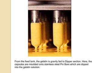 Capsule Manufacturing Process | PPTX