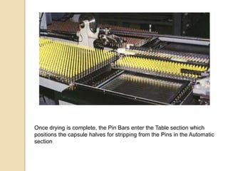 Capsule Manufacturing Process | PPTX