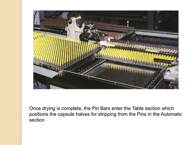Capsule Manufacturing Process | PPTX | Business | Business and Finance