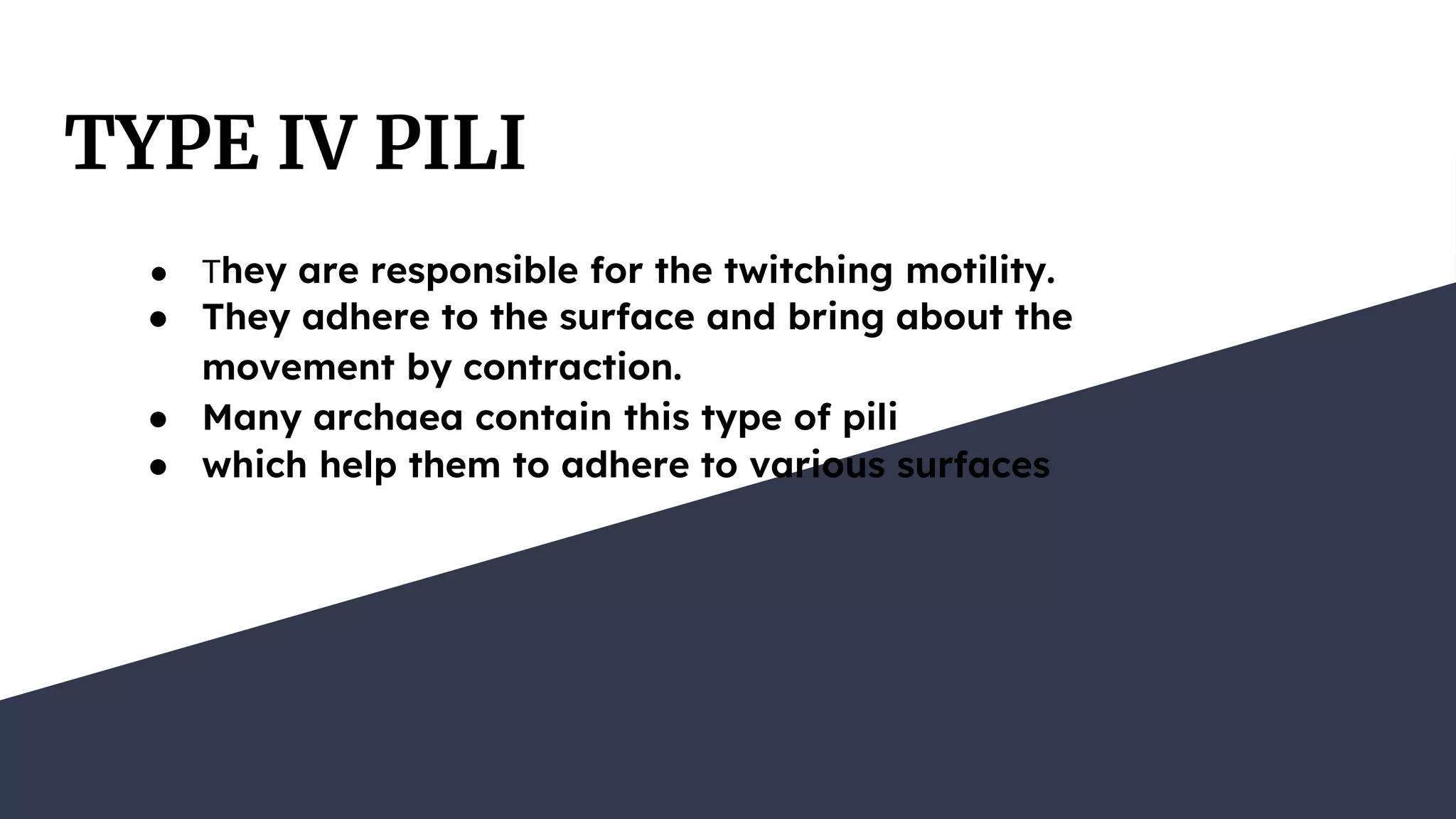 Capsule, Pili, Endospore.pptx