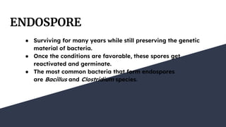 Capsule, Pili, Endospore.pptx