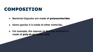 Capsule, Pili, Endospore.pptx