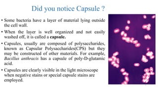 Capsule staining | PPTX