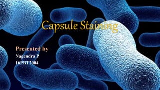 Capsule staining | PPT