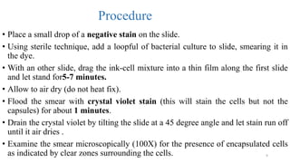 Capsule Stain Procedure