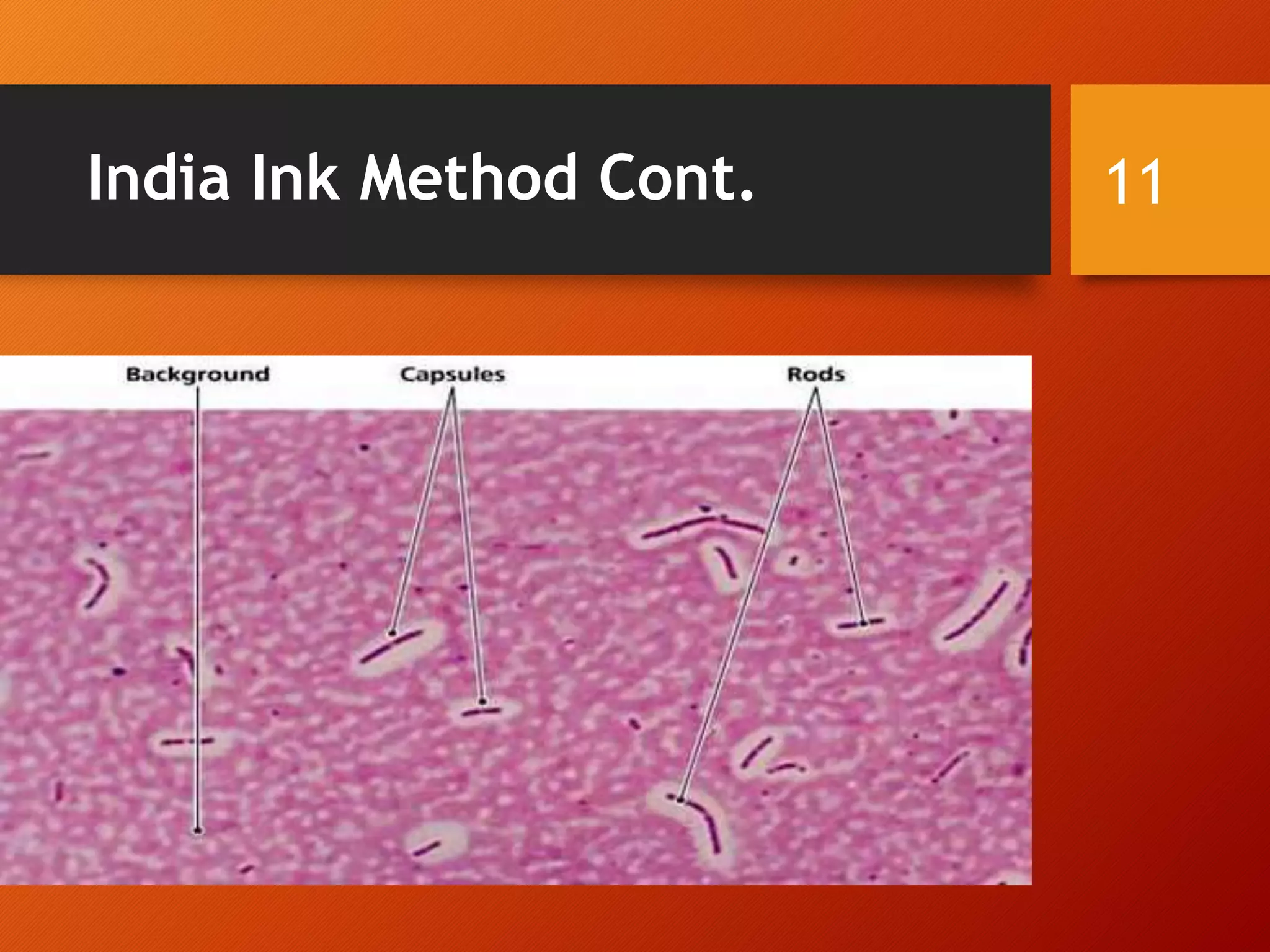 Capsule staining | PPTX