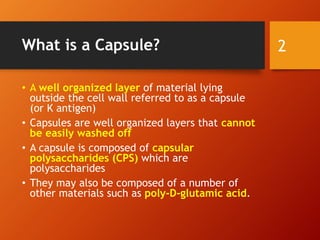 Capsule staining | PPTX