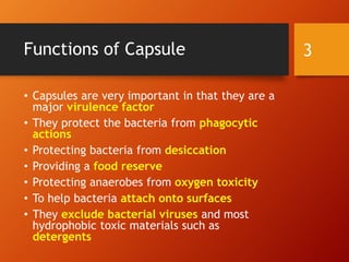Capsule staining | PPT
