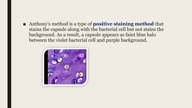 Capsule staining | PPTX | Biological Sciences | Science