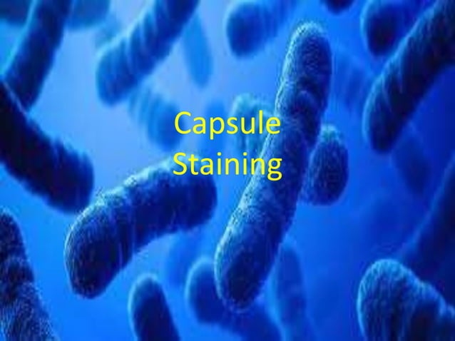Capsule staining.pptx