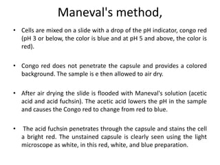 Capsule staining.pptx