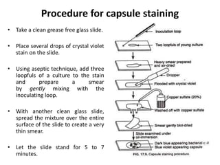 Capsule staining.pptx